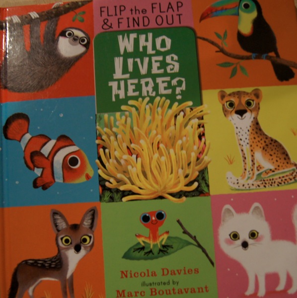 Who Lives Here, Lives Here, Now | Picture Book House